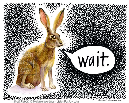 Jack Rabbit Says Wait? – Listen For Joy